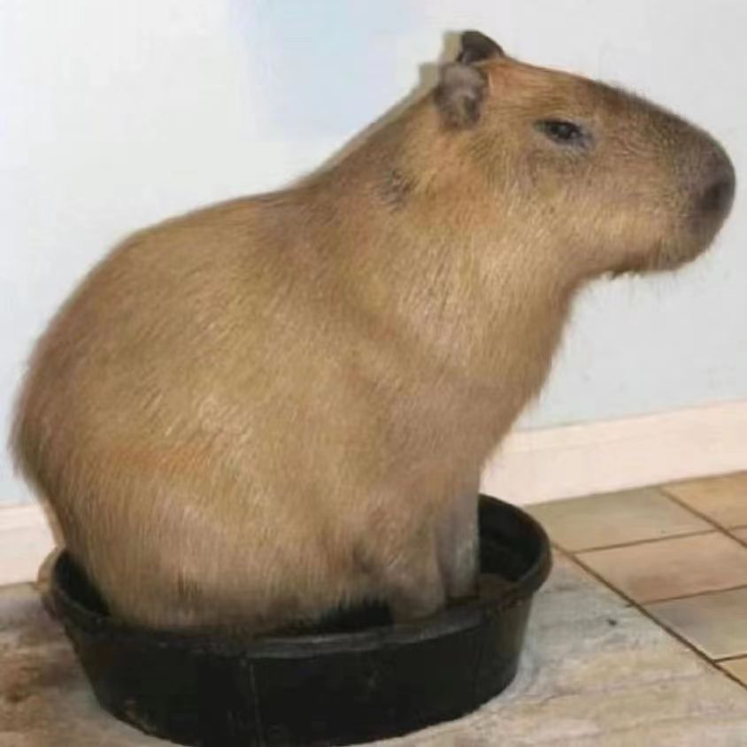 5.盛最多水的容器 | TB's Blog site(正在搭建)